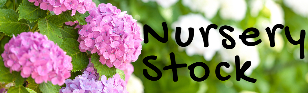 Home page [gardenfactoryny.com]