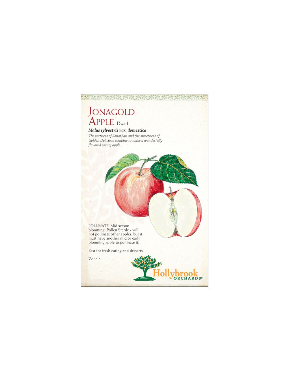 Apple Jonagold Semi-dwarf Apple Jonagold Semi-dwarf