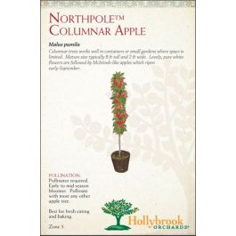 Apple Northpole Colonnade