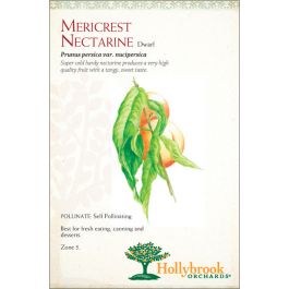 Nectarine Mericrest Dwarf