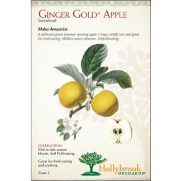 Apple Ginger Gold