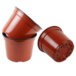 4" Plastic Grower Select Pot
