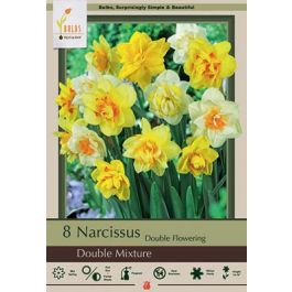 Narcissus Double Mix 7PK