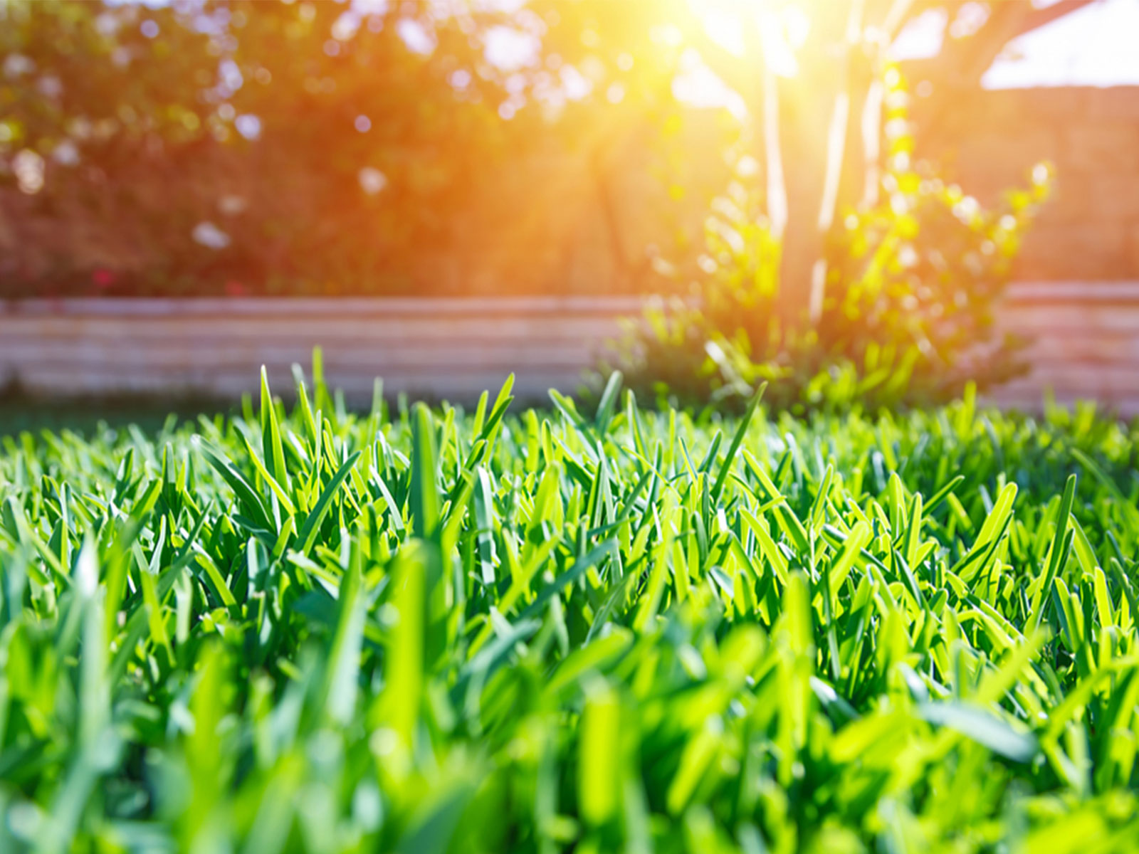 The Garden Factory - Home Page