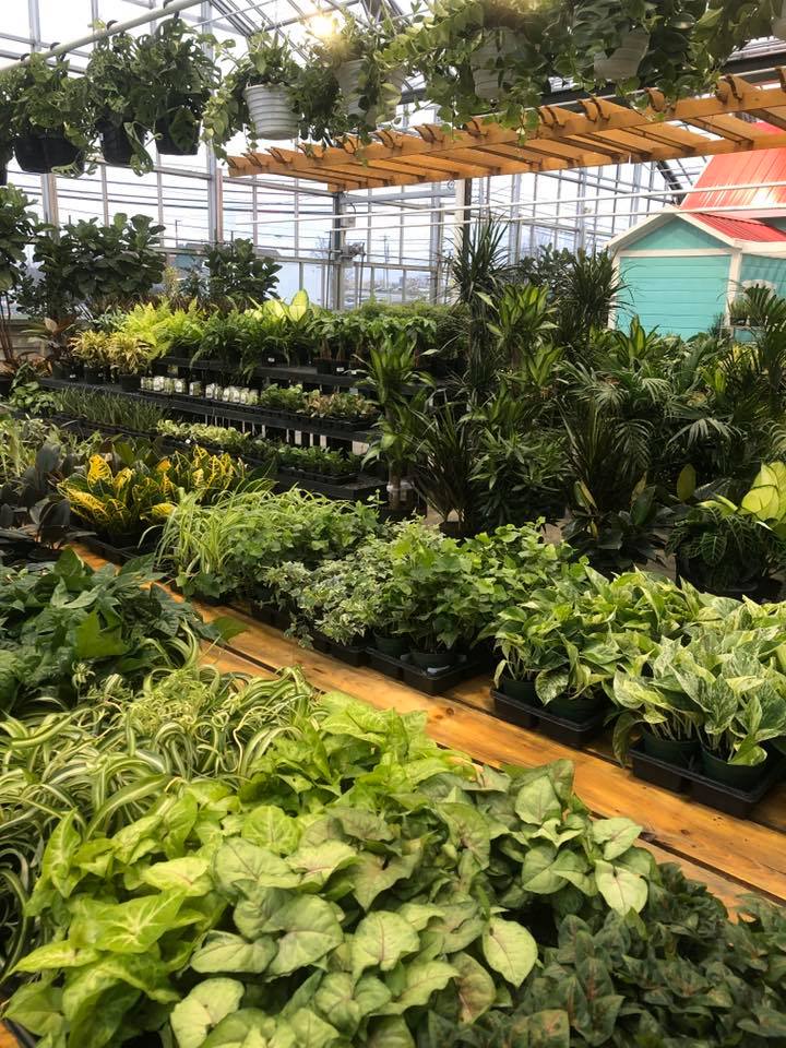 The Garden Factory - Home Page